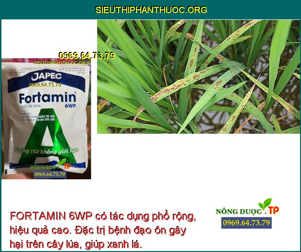 FORTAMIN 6WP- Đặc Trị Bệnh Đốm Lá- Thán Thư- Thối Nhũn- Ghẻ Sẹo- Đạo Ôn ...