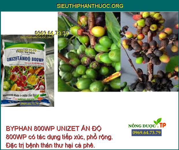 BYPHAN 800WP UNIZET ẤN ĐỘ 800WP- Đặc Trị Bệnh Vàng Lá- Đạo Ôn- Thán Thư ...